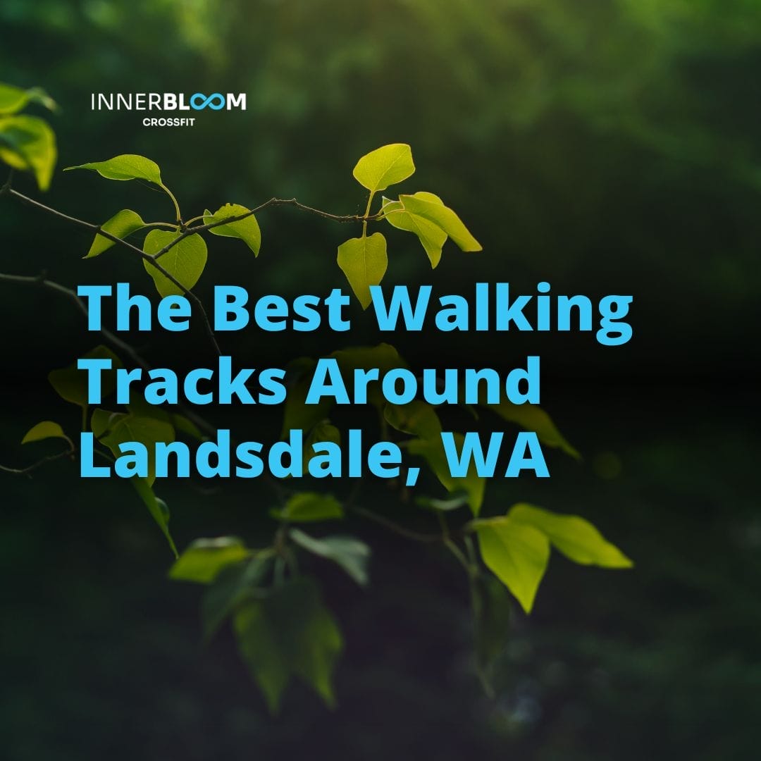 the Best Walking Tracks Around Landsdale: Your Nature Challenge 🌿 ...